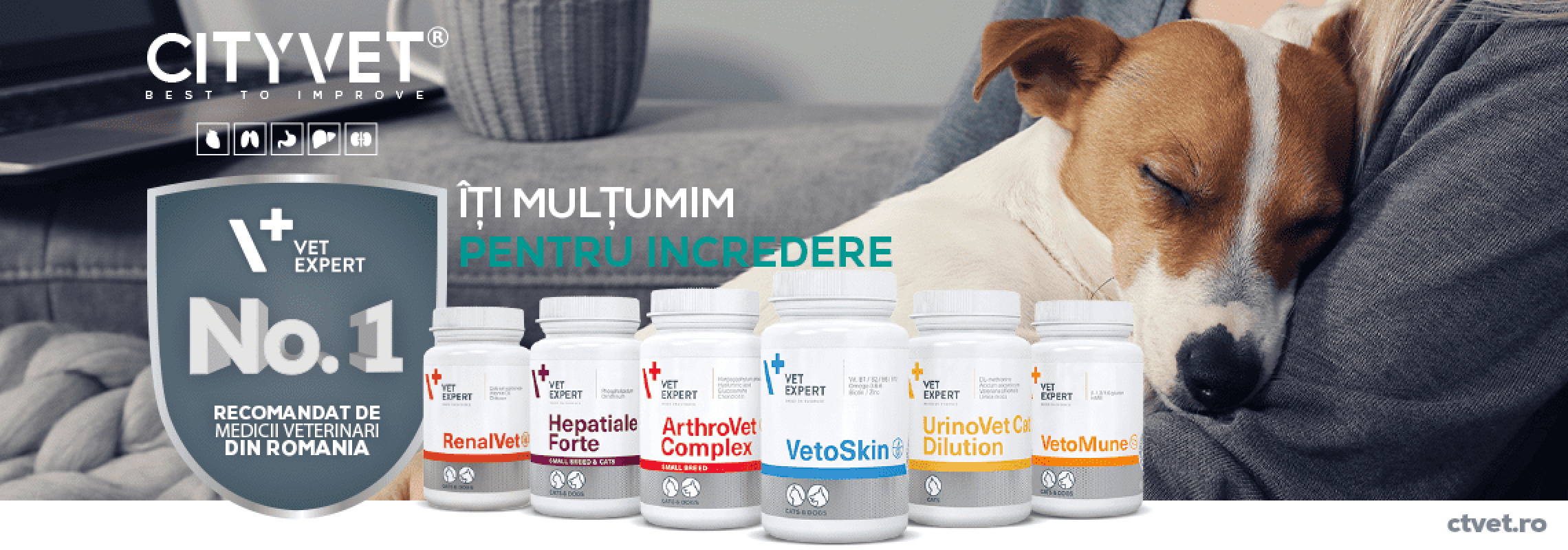 Vet Expert, brandul nr 1 in recomandarea medicilor veterinari | GoPet.ro